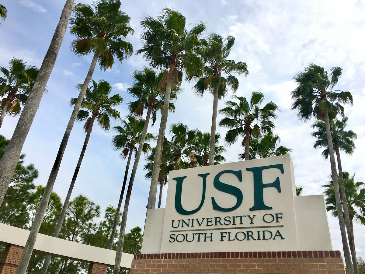 Welcome to The USF Parent & Family | The USF Parent & Family BULLetin